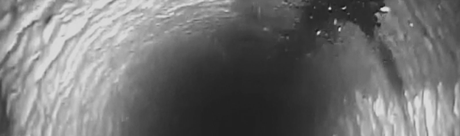 Restriction VA | Visual Analytics | EV